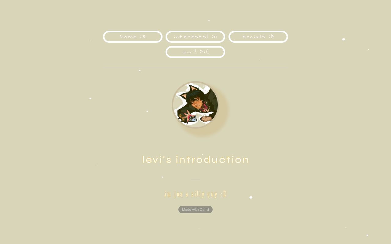 levi's introduction